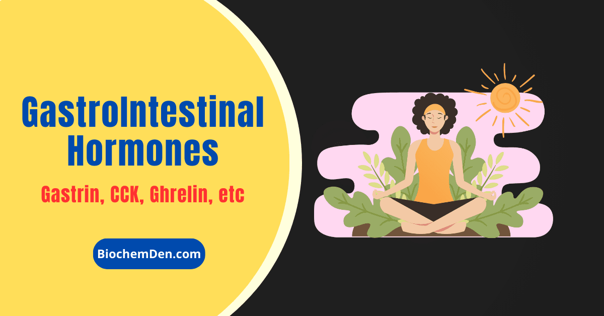 Gastrointestinal Hormones: Structure, Functions, Regulation