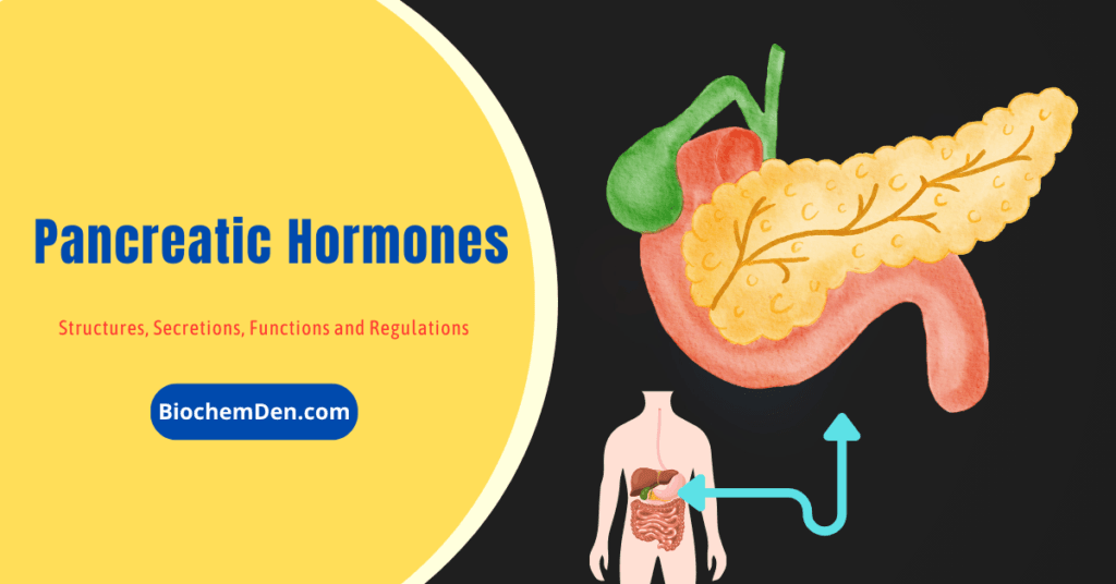 Glucagon Hormone: Structure, Functions, and its Regulation