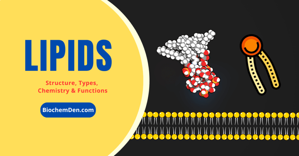 What are the Color Reactions of Lipids? (Qualitative Analysis)