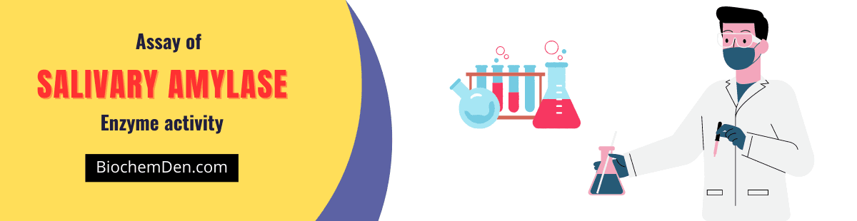 Assay of Salivary Amylase enzyme activity (Enzyme activity Protocol)