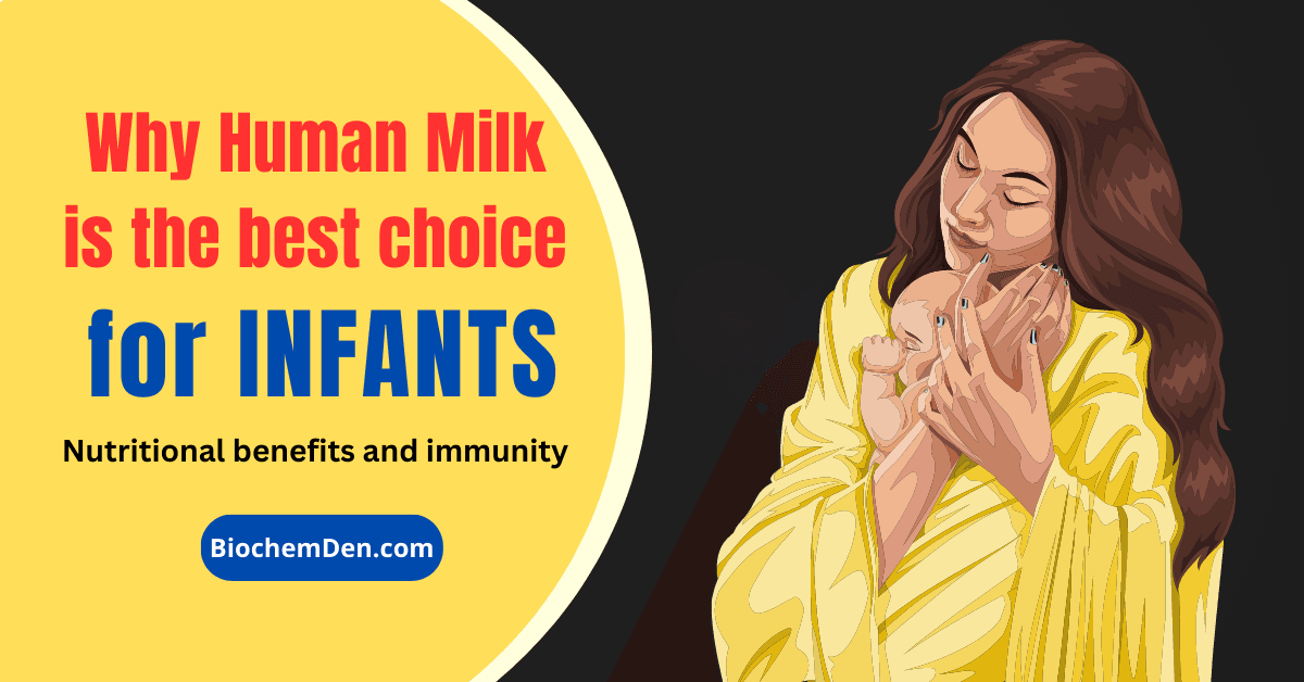 6 Reasons Why Human Milk is the Best Choice for Infants