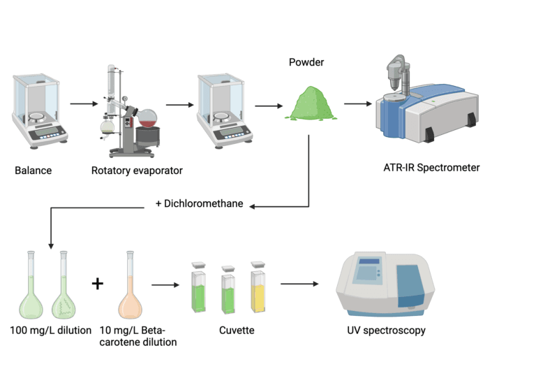 Biochemical Techniques: What are the Basics of Biochemical Techniques?