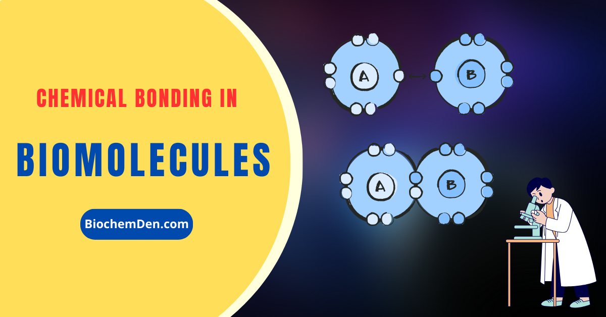 Chemical Bonding in Biomolecules: The Foundation of Life