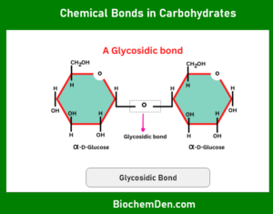 Chemical Bonding in Biomolecules: The Foundation of Life