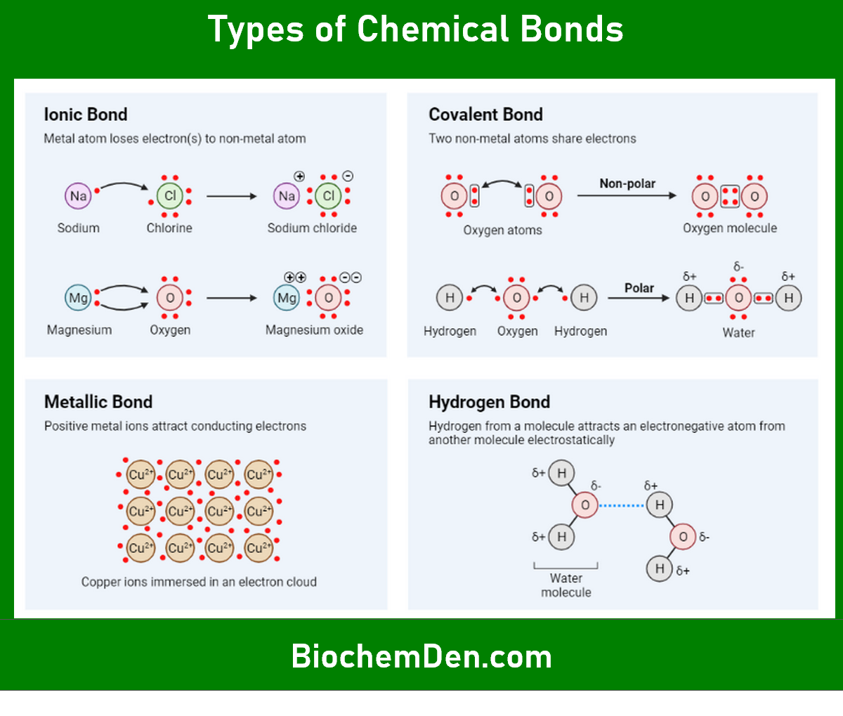 Chemical Bonding in Biomolecules: The Foundation of Life